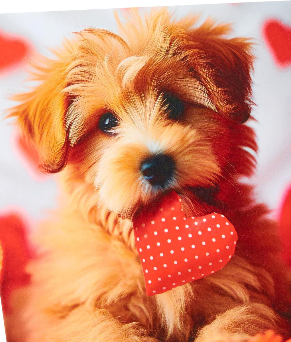 Adorable Puppy Design Valentine's Day Card – Collect Cards